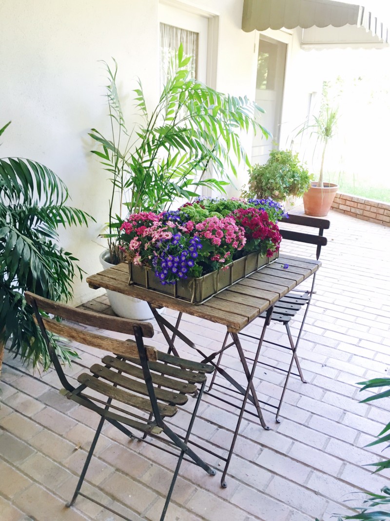 Easy Flower Box Planter - DIY Video COCOCOZY