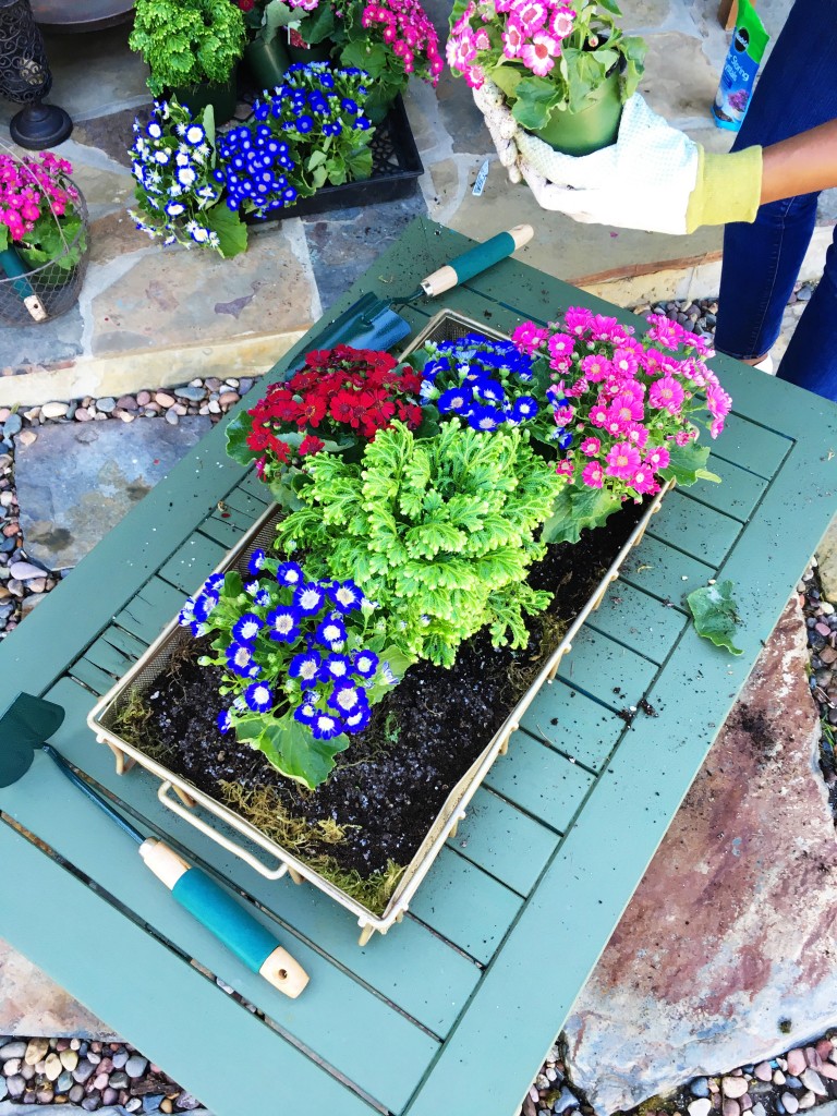Easy Flower Box Planter - DIY Video COCOCOZY