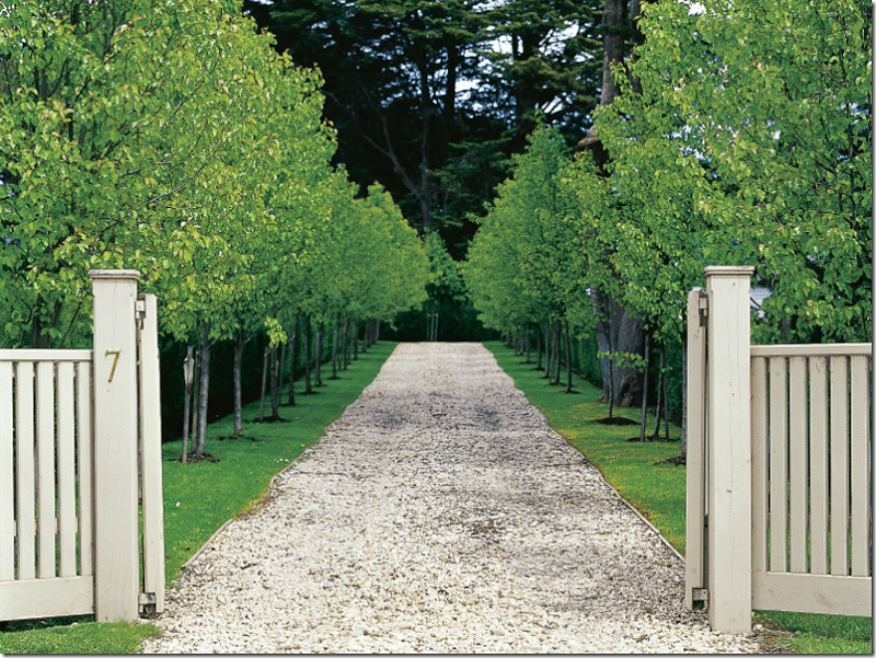 Wonderful Alleés COCOCOZY